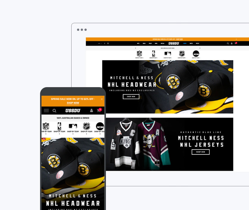 Professional Theme Customization Services by HaloThemes