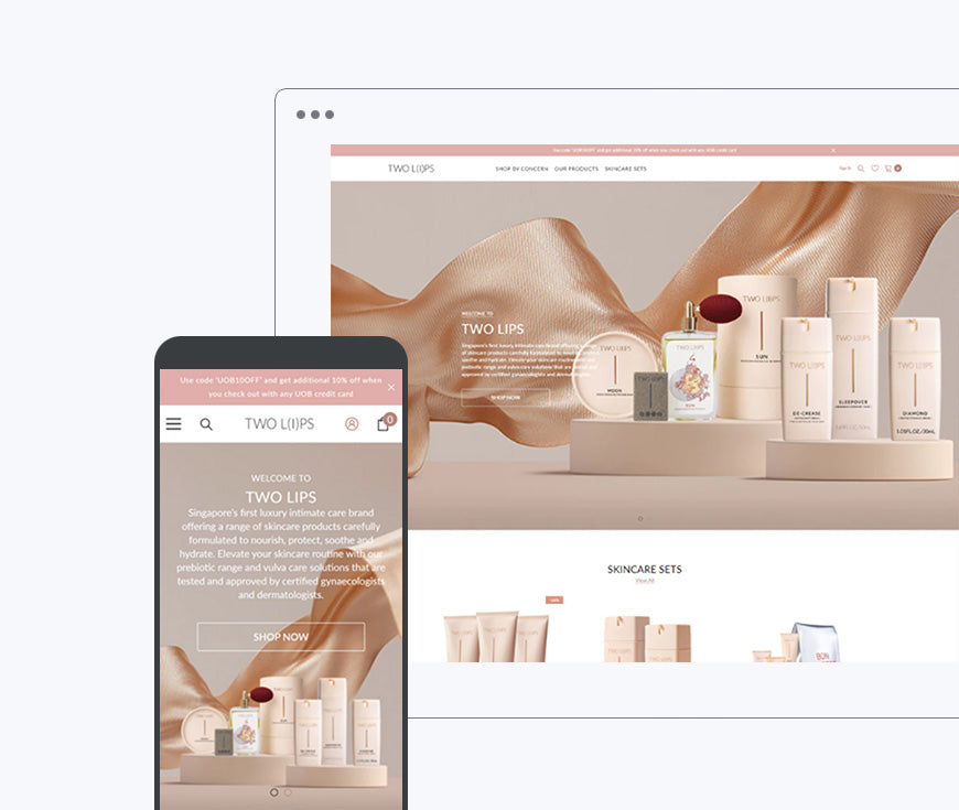 Professional Theme Customization Services by HaloThemes
