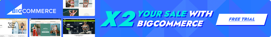 Professional Theme Installation Service | HaloThemes